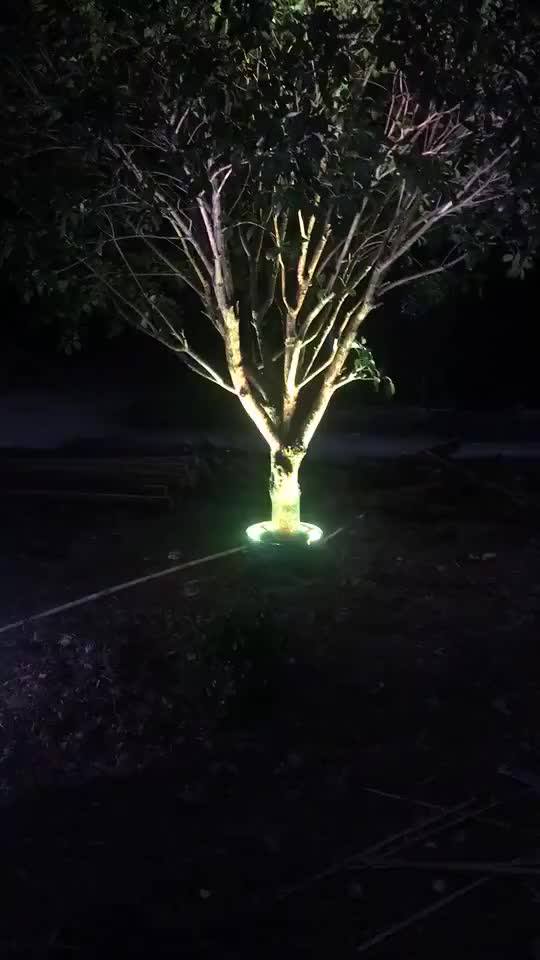 Hoop Tree Lamp Cedrus Maple Coconut Palm Rgbw Led Landscape Lights ...