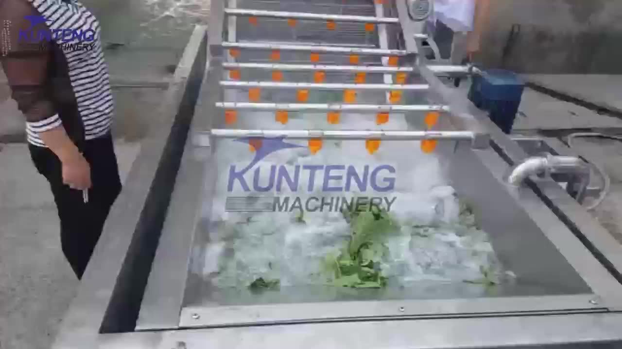 Small Automatic Ozone Bubble Vegetable Washer Fruit-washing-machine ...