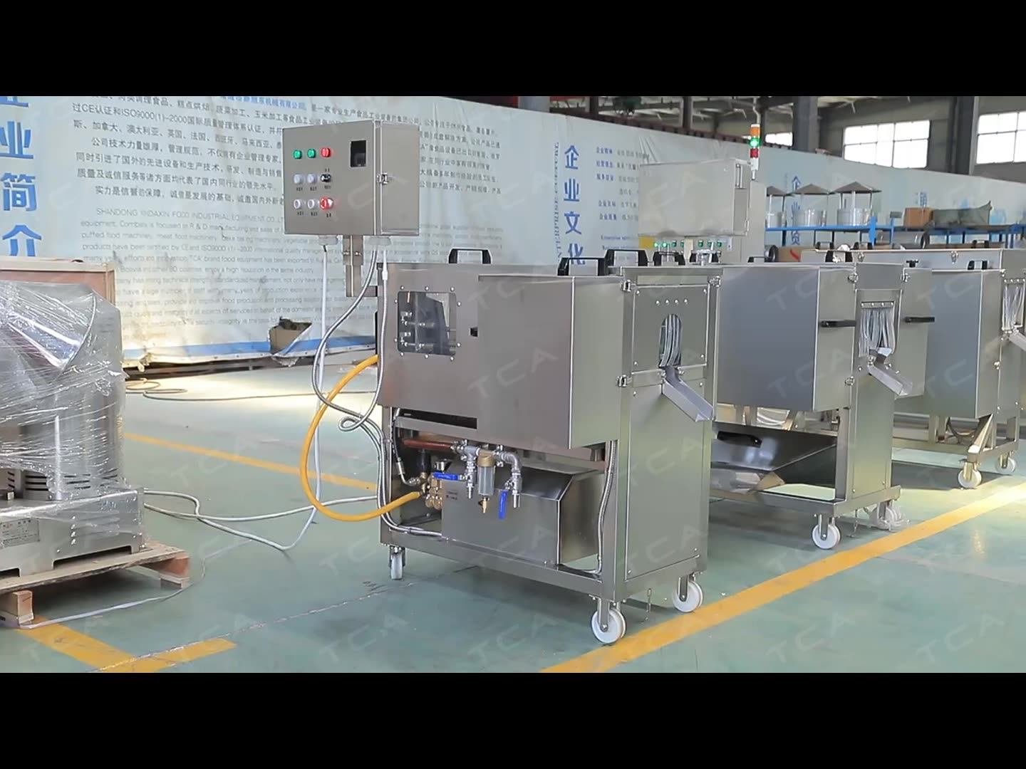 Tca High Quality Automatic Fish Cleaning Descaling Fillet Processing ...