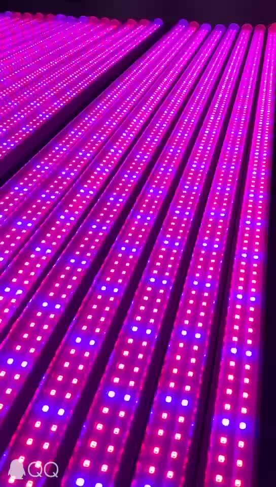 Vertical Farming Led Grow Light T8 Grow Tube Rgb 28w - Buy Farming Led ...