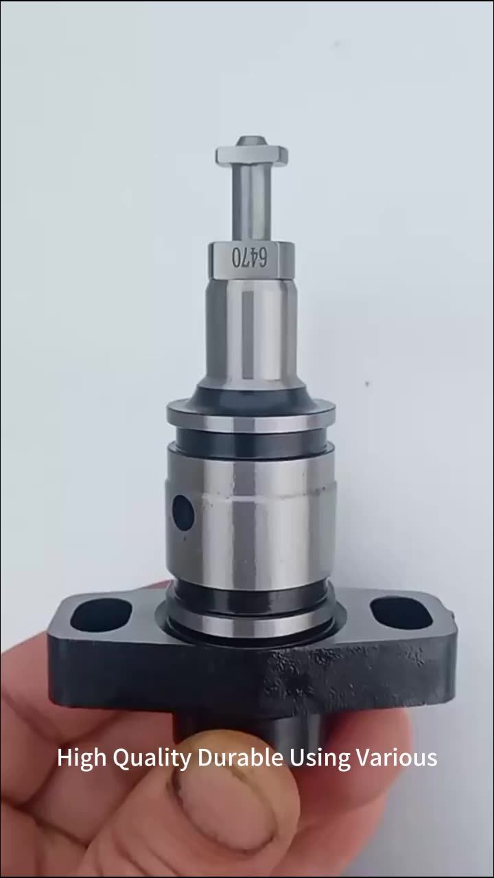 Ps Type P66 Injection Plunger And Barrel Fuel Pump Plunger P66 Plunger ...