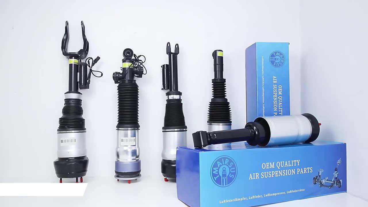 Tech Master 2203205813 2203205413 Air Suspension Shock Air Spring W220 ...