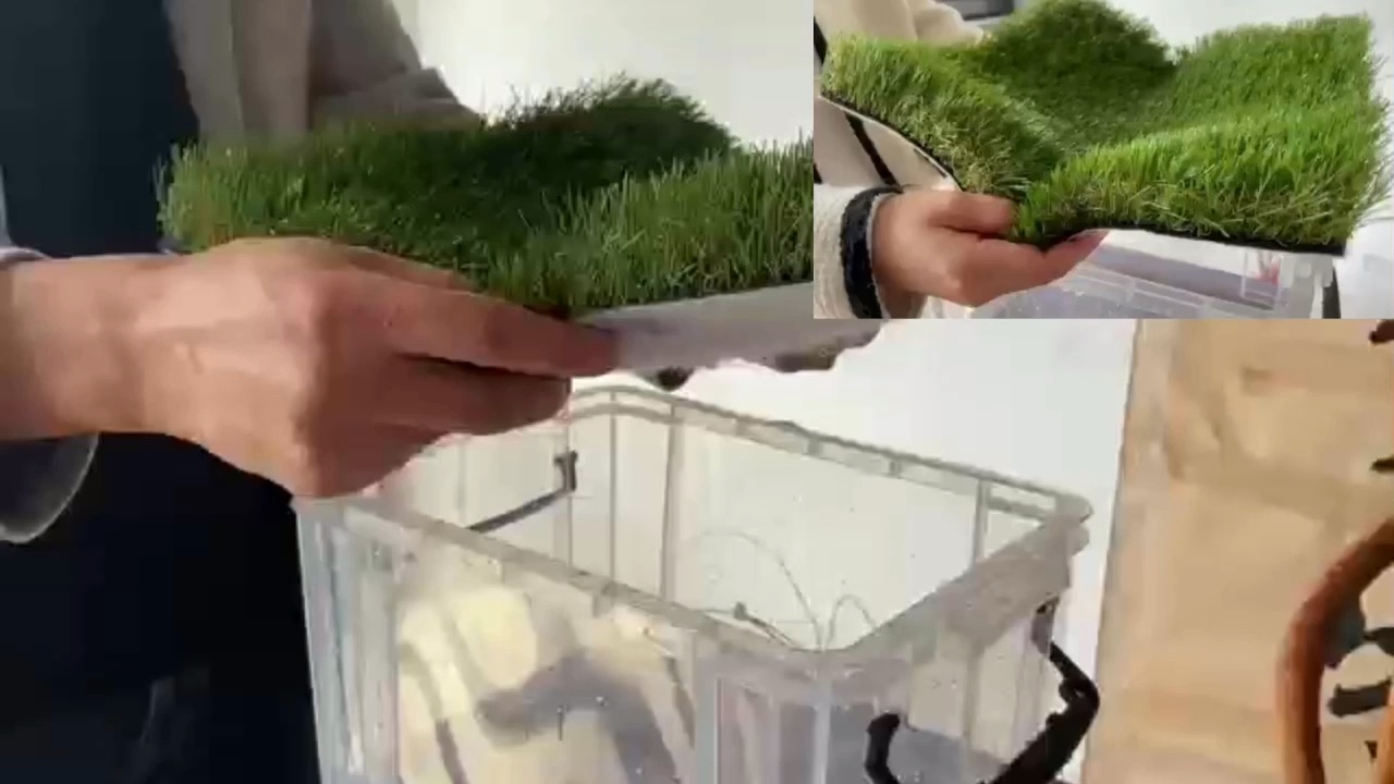 Tianlu Synthetic Lawn Turf Synthetic Garden Artificial Turf Carpet ... Tianlu Synthetic Lawn Turf Synthetic Garden Artificial Turf Carpet ...