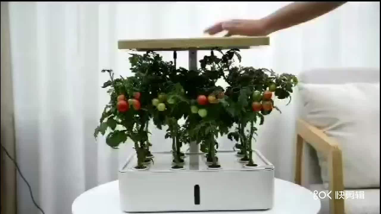 2020 Complete Hydroponic System Plant Grow Box For Growing Vegetable In ...