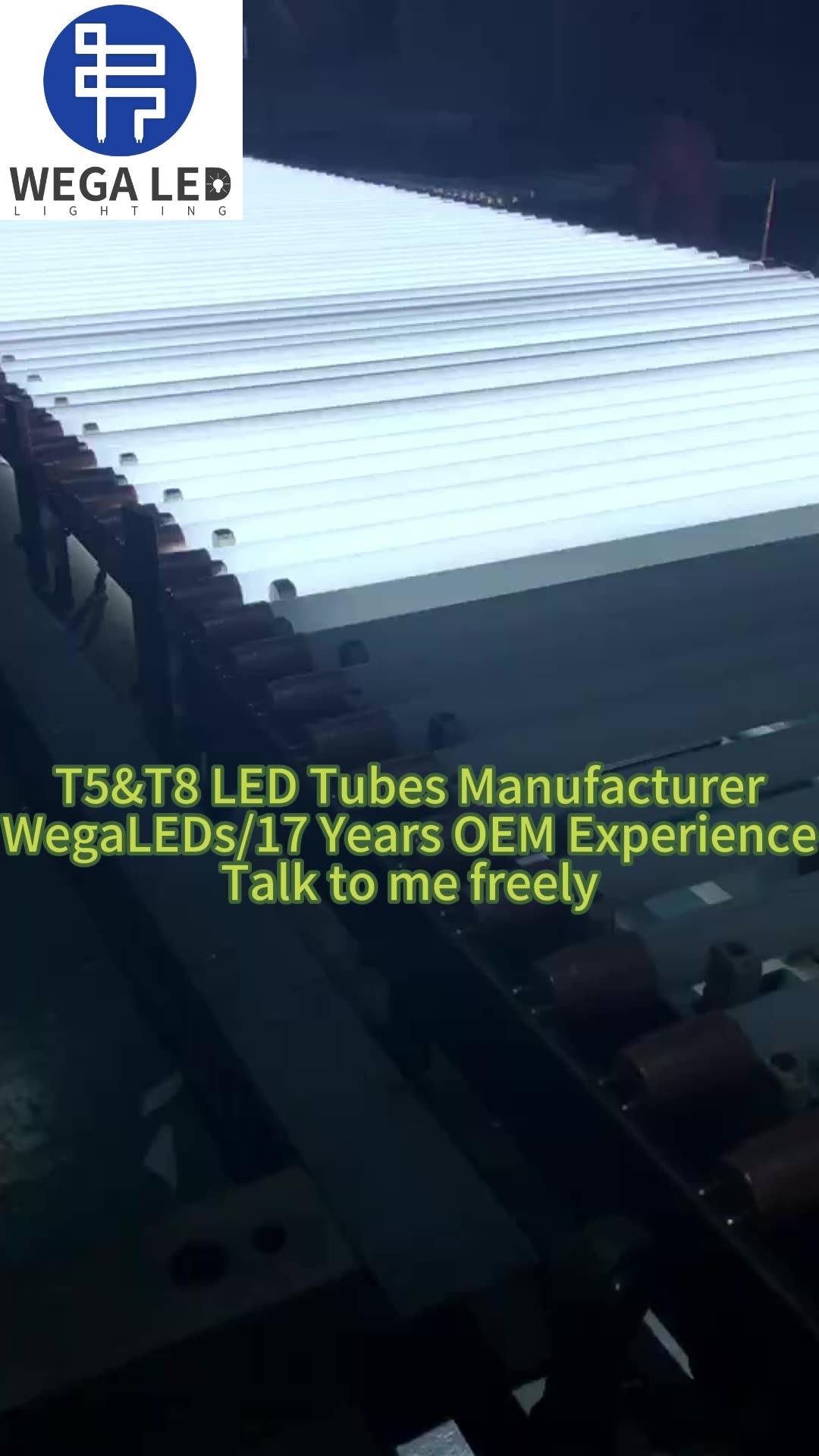 2024 Hottest 1.2m T8 Led Bulbs 48 Inch T8 Led Tubes 24w 20w 18w 180lm/w ...