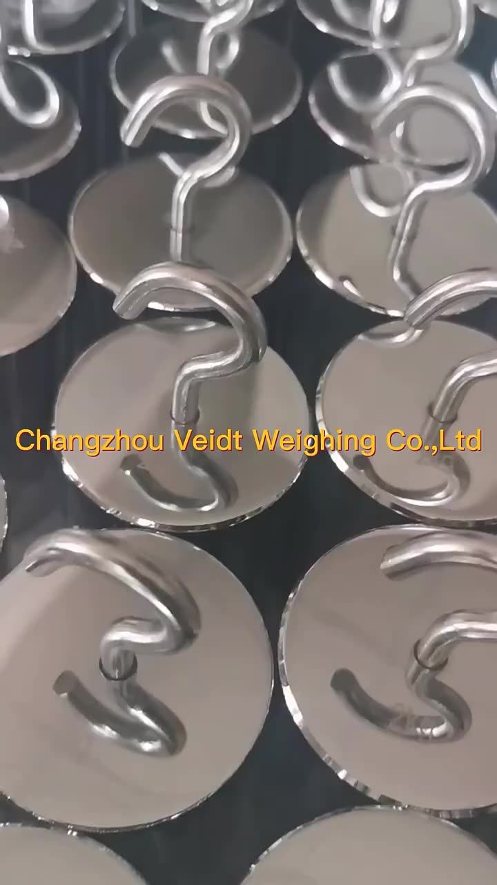 E1 Class Pull Test Electronic Scale Weight Test Stainless Steel Single ...