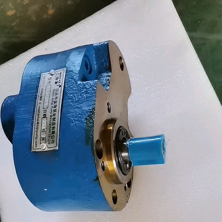 Cb-b2.5 Cb-b4 Cb-b6 Cb-b10 Cb-b16 Cb-b20series Stainless Steel High Pressure Hydraulic Pump Gear ...