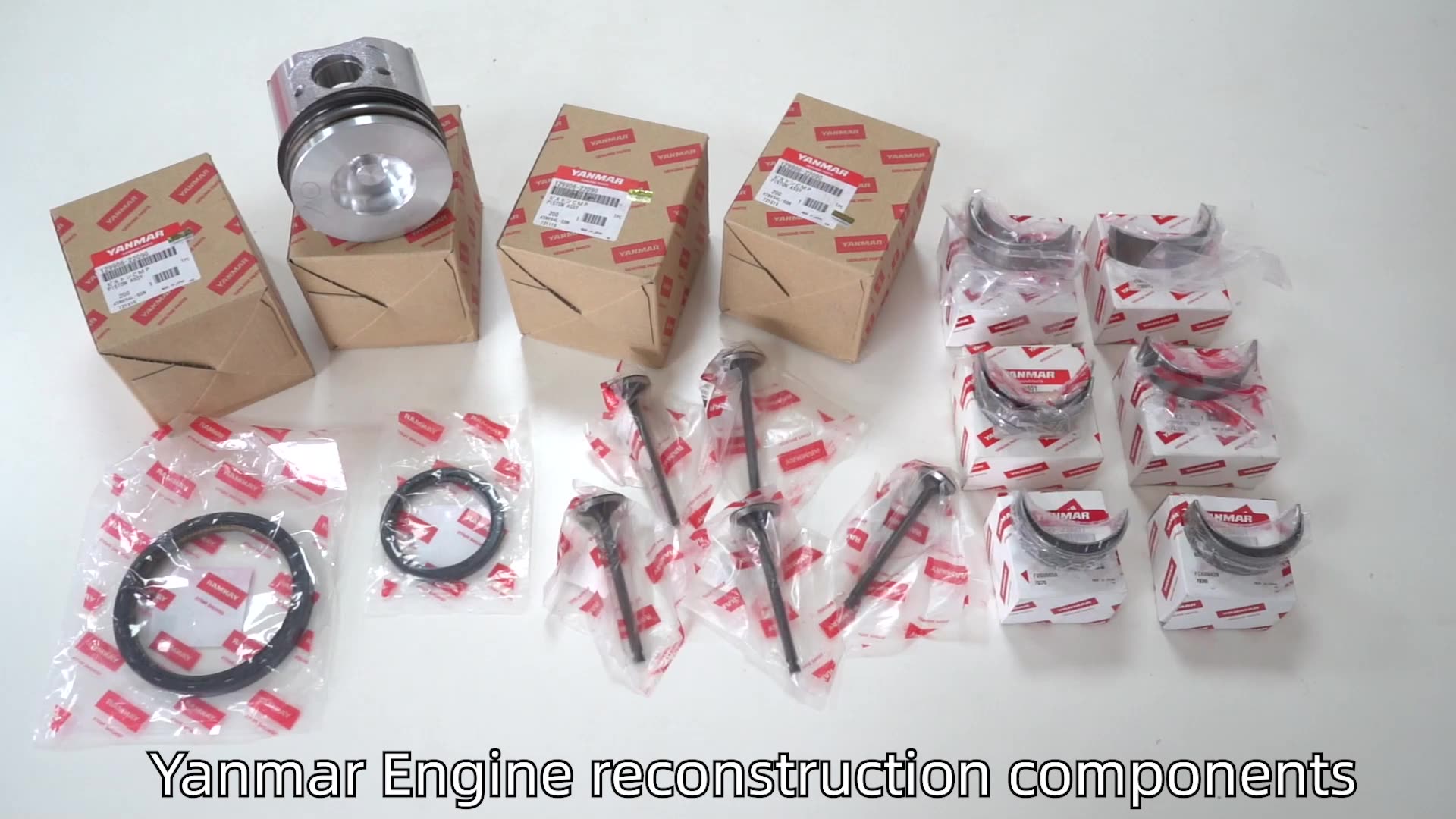 Japan Oem Parts 119775-22160 Yanmar 6lpa-stp2 Engine Rebuild Kit For Yanmar Engine 6lpa Repair ...