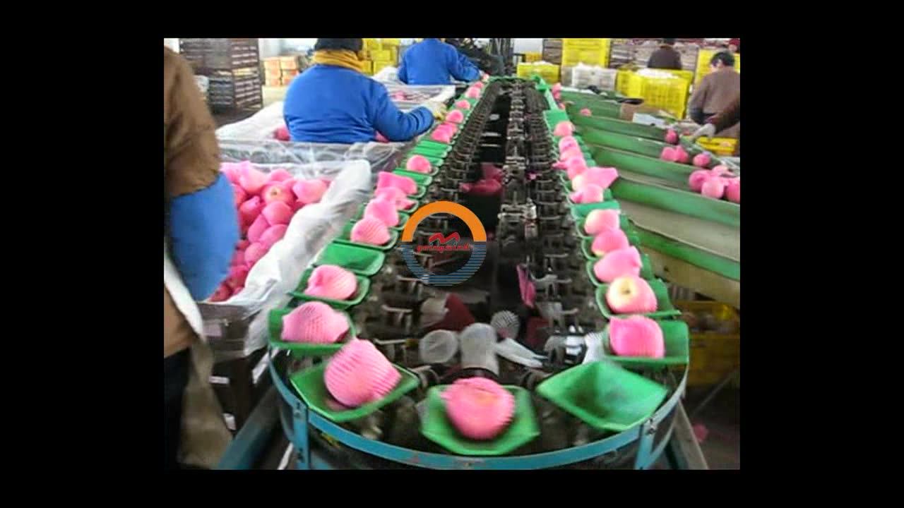 Automatic Watermelon Grading Sorting Machine Auto Industrial Jackfruit ...