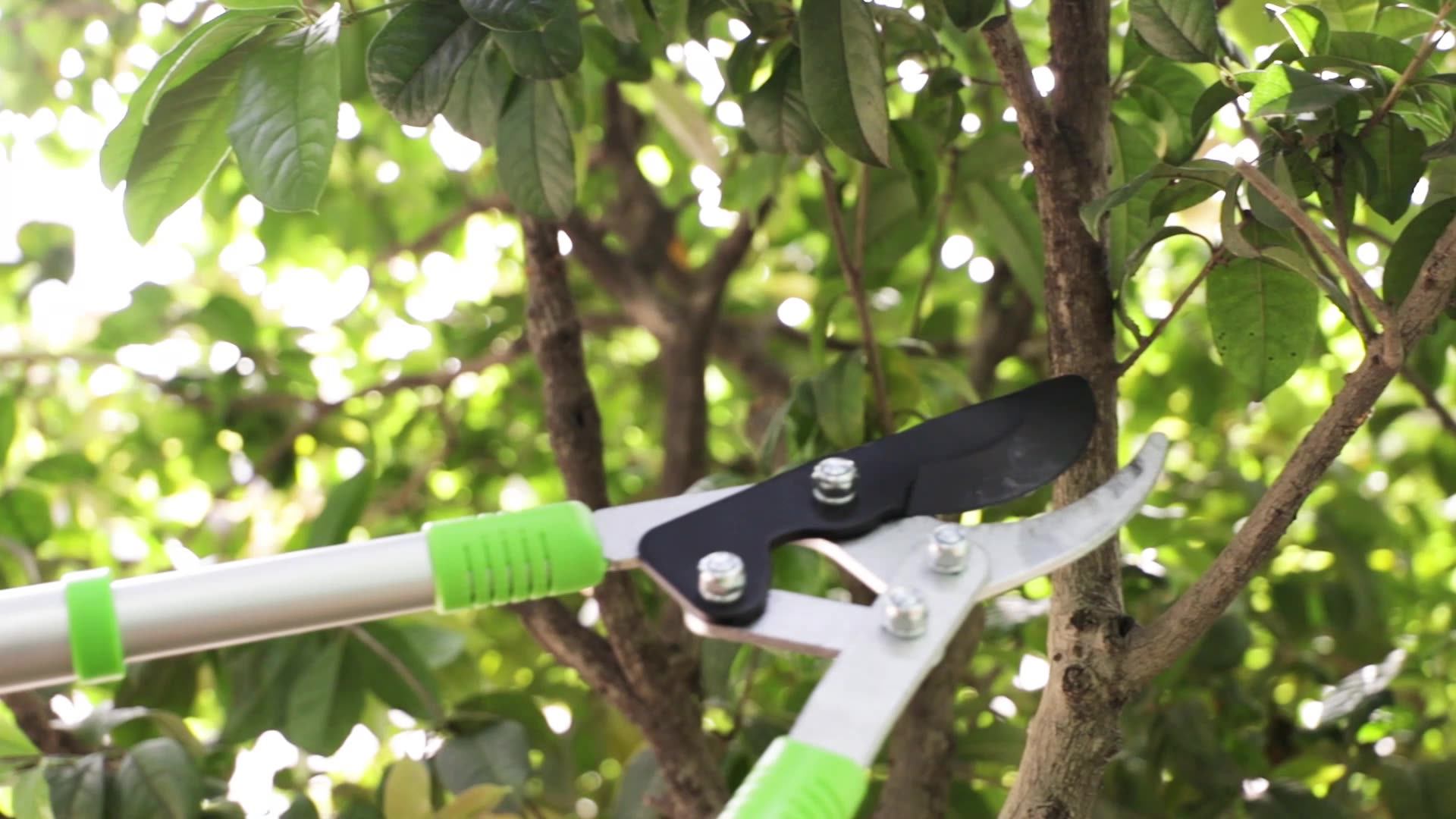 Premium Professional Long Handle Branches Cutter 26-1/2"~36-1/4 ...