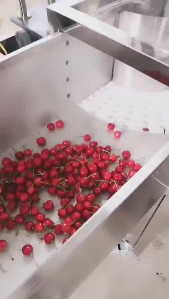 Electric Cherry Pitter Calcium Fruit Pitting Machine Cherry Destone ...