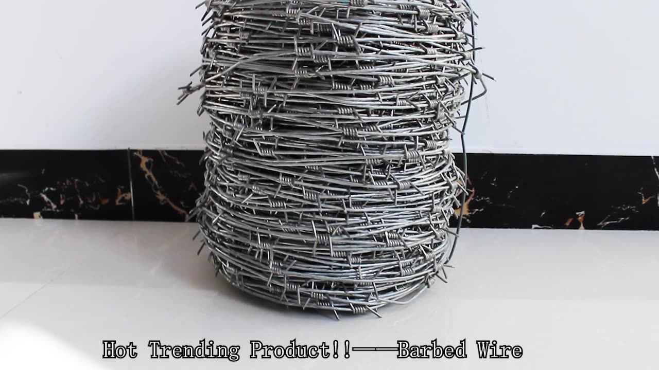 Factory Quality 12# Barbed Wire Fence Roll Length 200m Electric ...