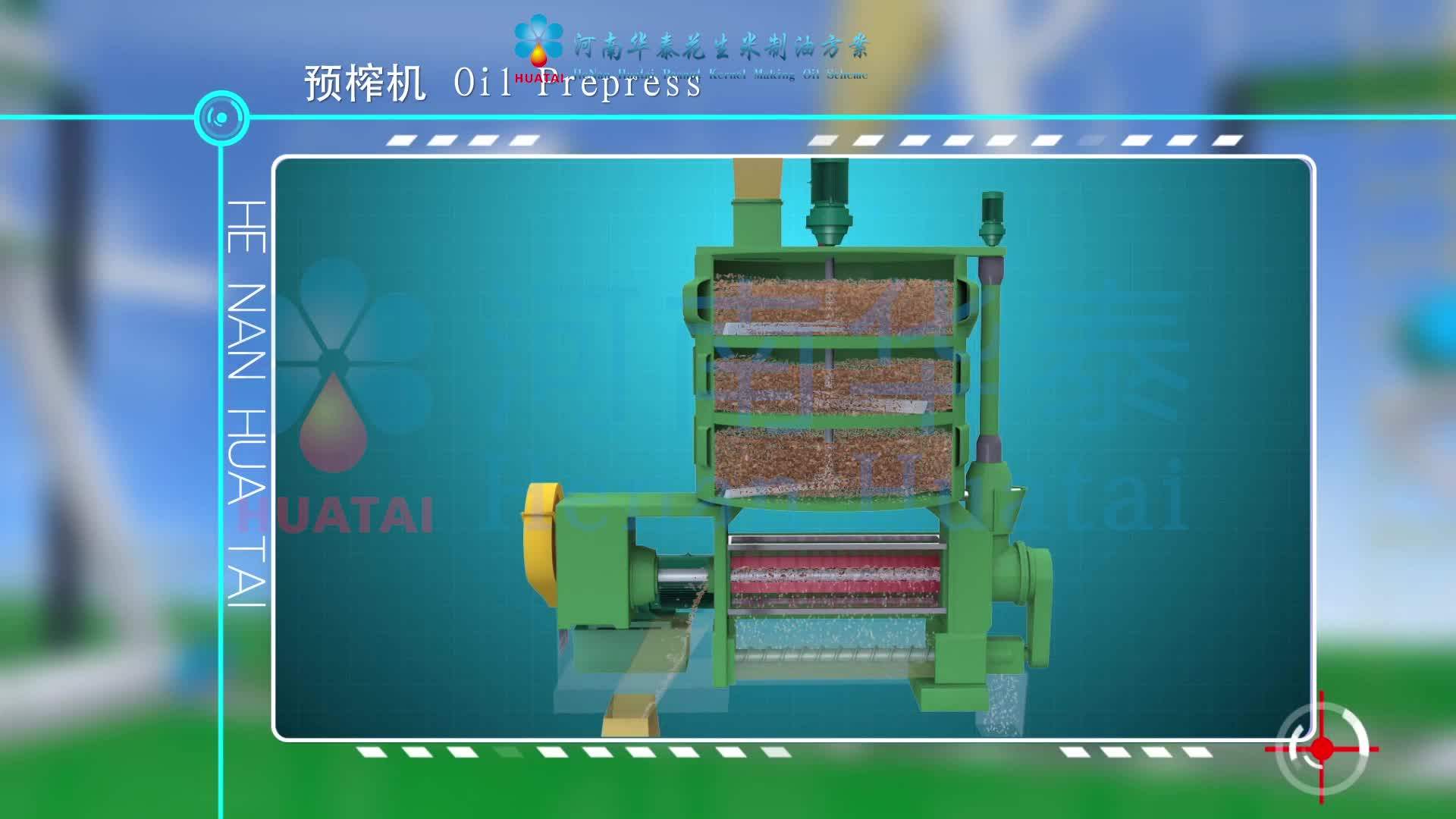 Palm Kernel Oil Extraction Machine - Buy Palm Kernel Oil Process Plant ...