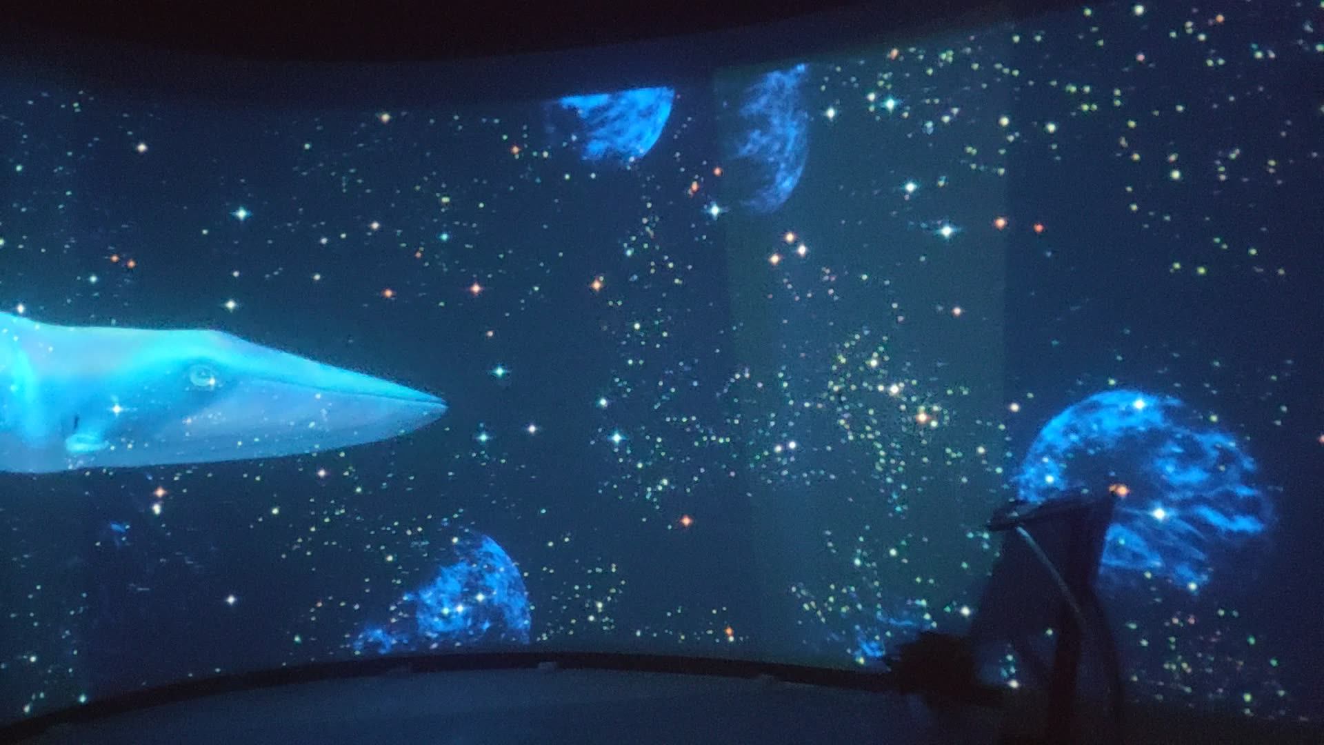 360 Mapping Wall Projection Immersive Projector Virtual Reality Museum ...