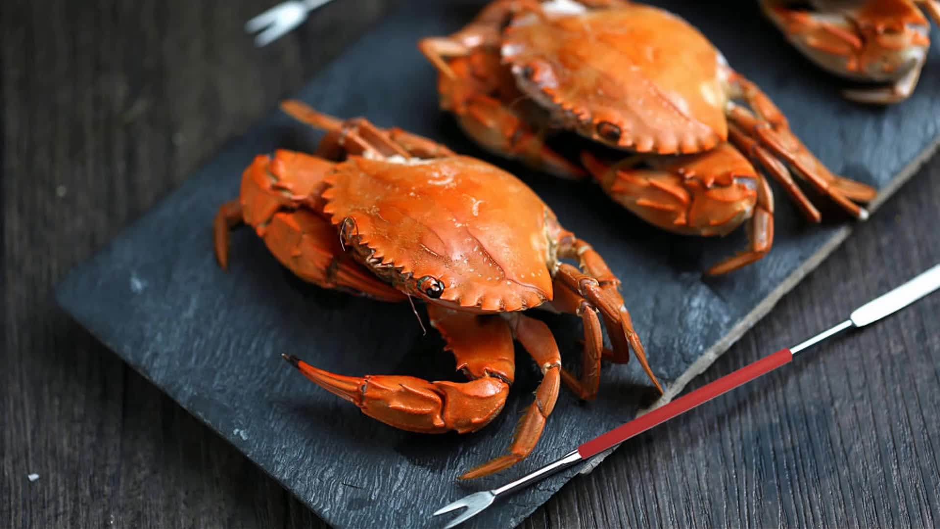 Best Sale Seafood Tool Stainless Steel Crab Pick - Buy Good Quality ...