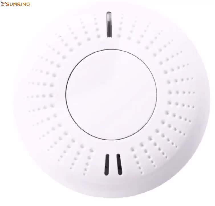 High Sensitivity Wifi Smart Smoke Detector Wireless Fire Smoke Sensor ...