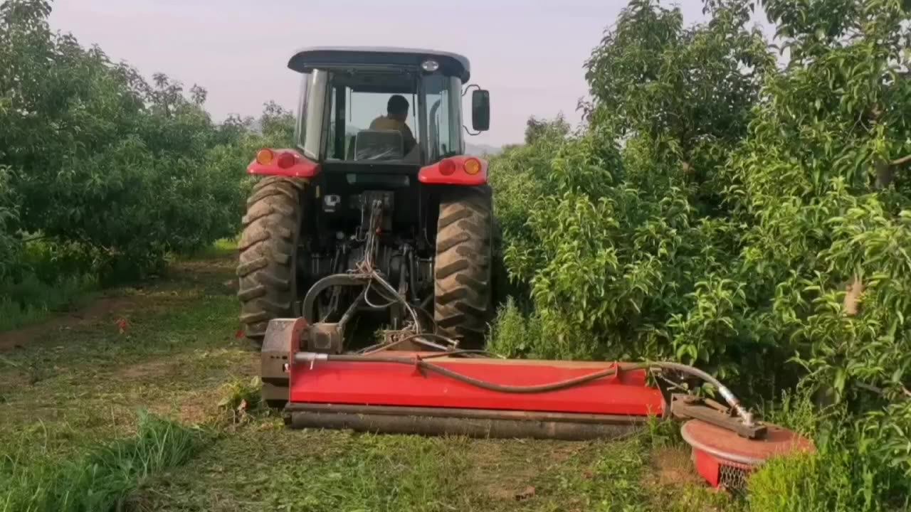 2023 Orchard Swing Arm Flail Mower - Orchard King 300e - Crush Branch ...