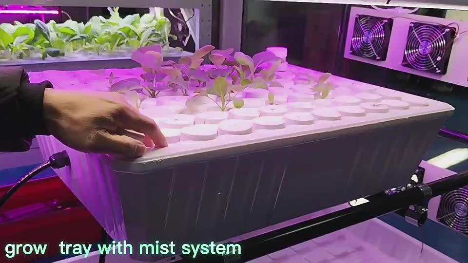 Greenhouse Grower 4x4 Hydroponic Table Grow Plant Flat 80 Holes ...