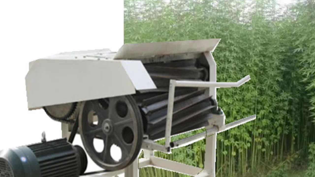 Banana Fiber Extractor Brazilian Automatic Sisal Decorticator Machine ...