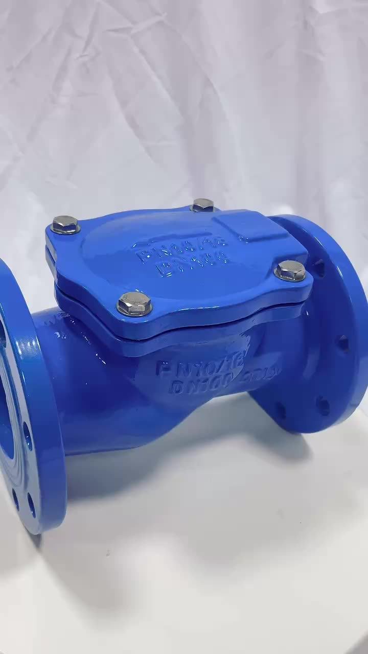 Manual Rubber Flange Check Valve For Water General Application Oem ...