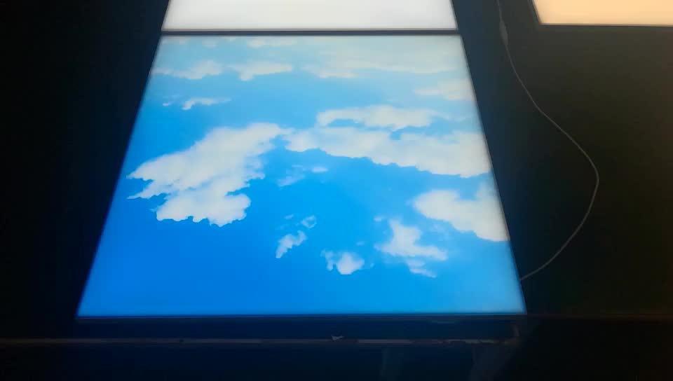 Blue Sky 40w 600x600 Led Frameless Skylight Panel - Buy Skylight Panel ...