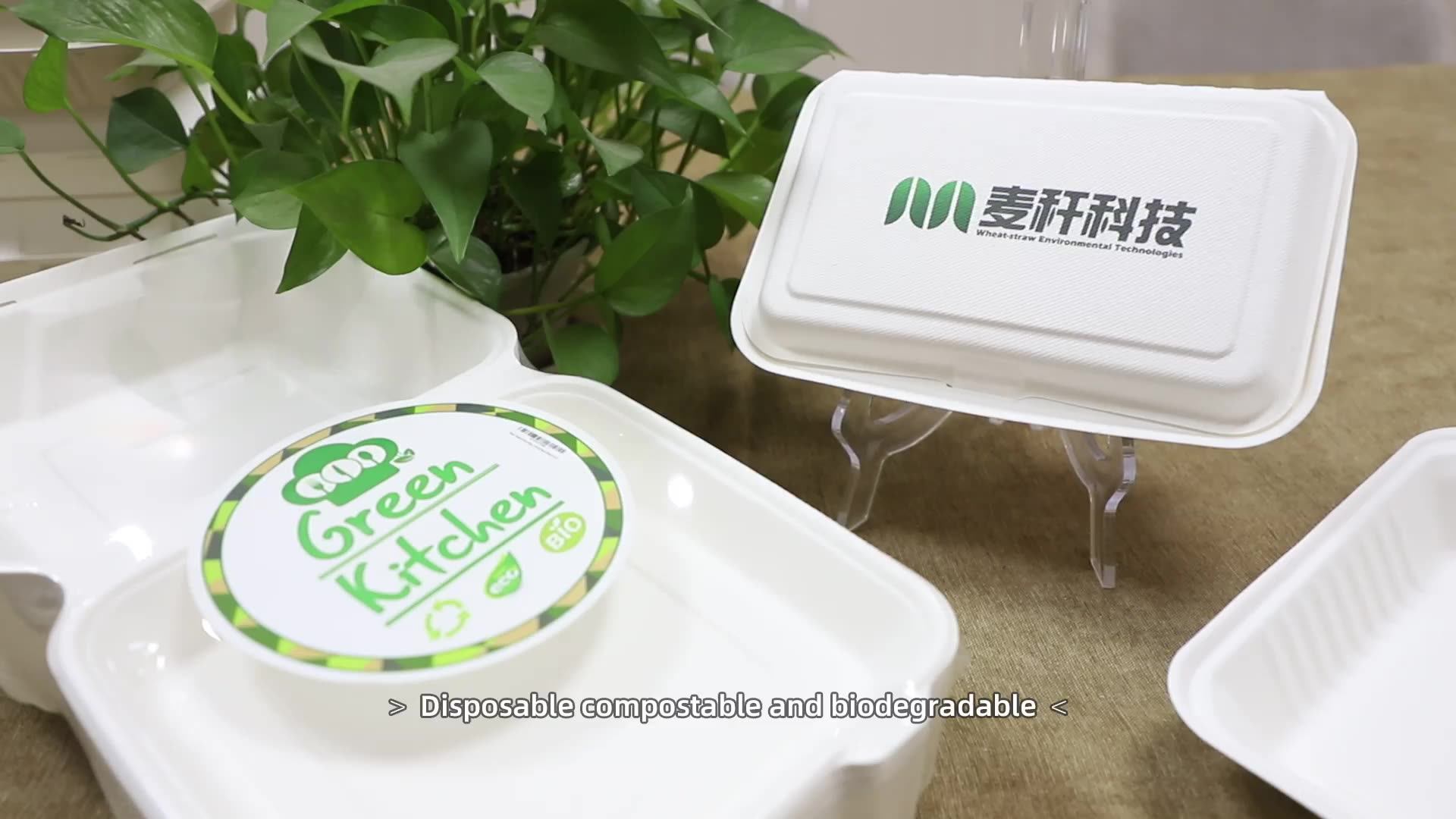 Clamshell Takeaway Food Box Taper Biodegradable Disposable Plate Dish ...