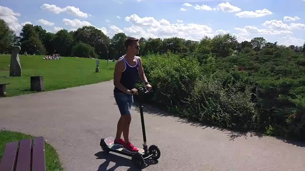 Three Wheels Gps Tracker Weped Electric Roller Scooter 20 Kmh With Seat ...