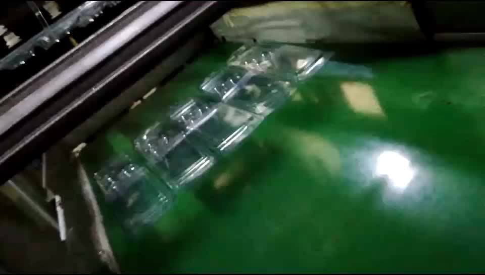 Custom Clear Clamshell Packaging Cpu Processor Ram Blister Pack - Buy ...