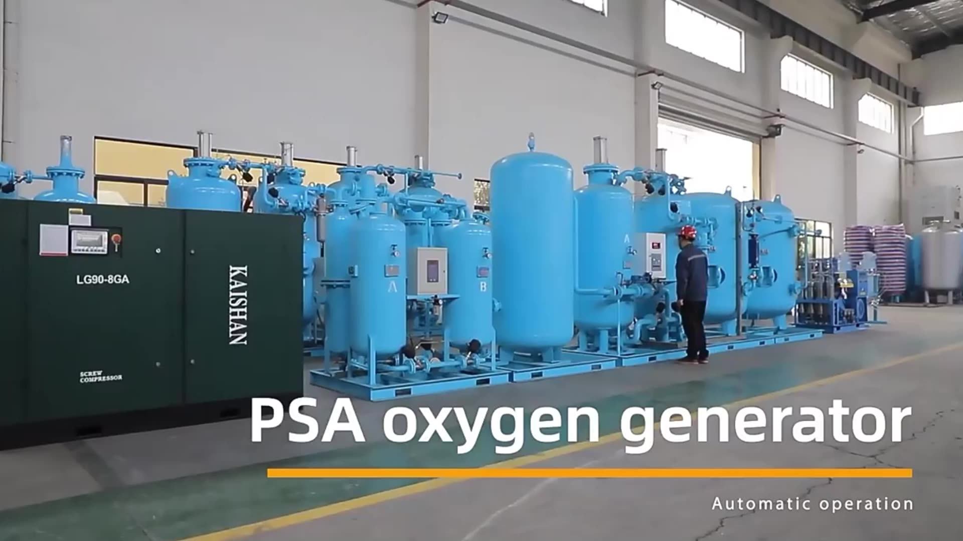 Psa Oxygene Generator Plant Industrial Oxygen Generator Fish Pond ...