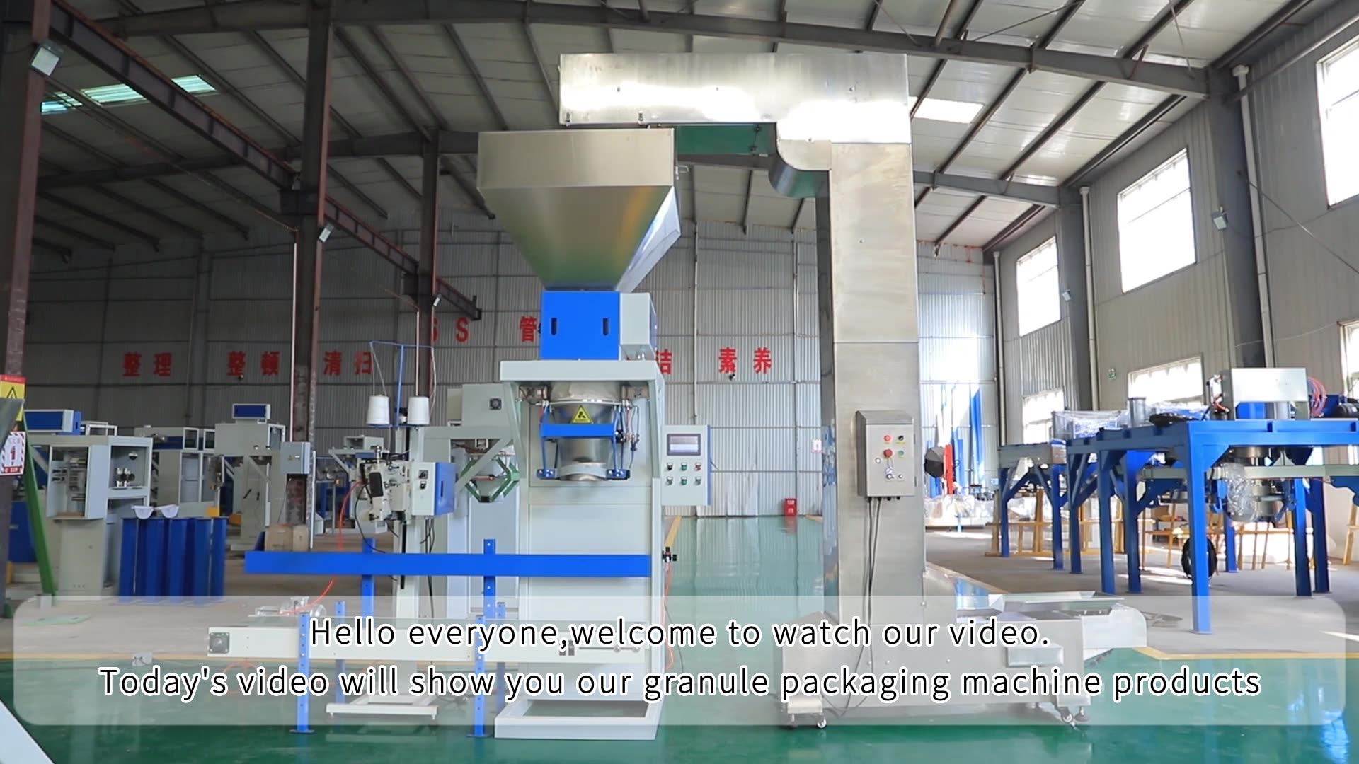 10 Kg Bags Wood Sawdust Granular Packing Machine 20 Kg 50 Kg Seeds Bags ...