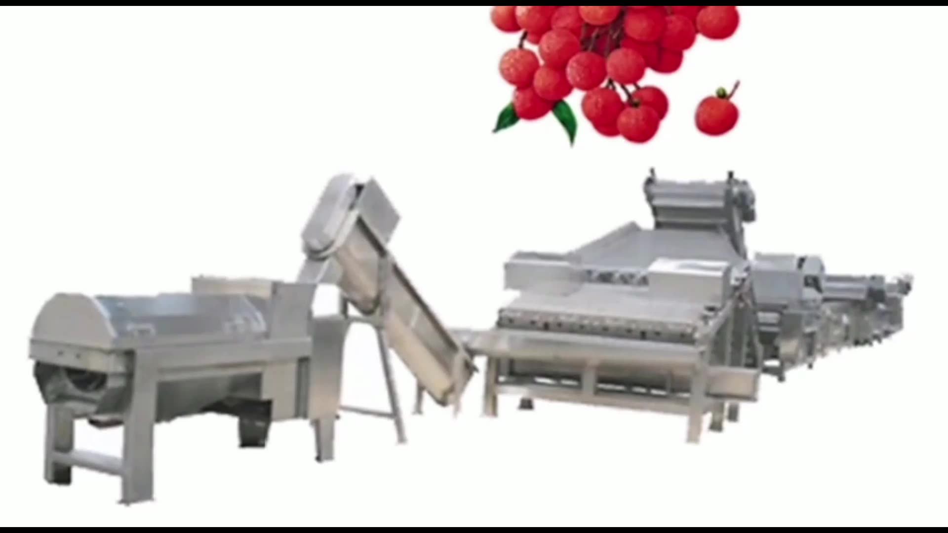 Fresh Lychee Peeling And Coring Machine 3-5t/h Lychee Peeler And Pitter ...