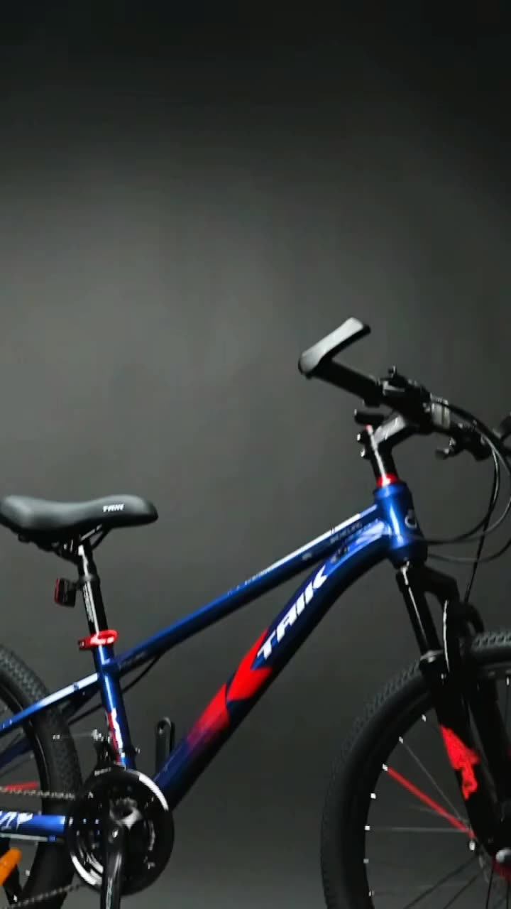 Av8119 Alloy Wheel Bicycle 20 Inch Sport Bike With Magnesium Alloy Rim ...