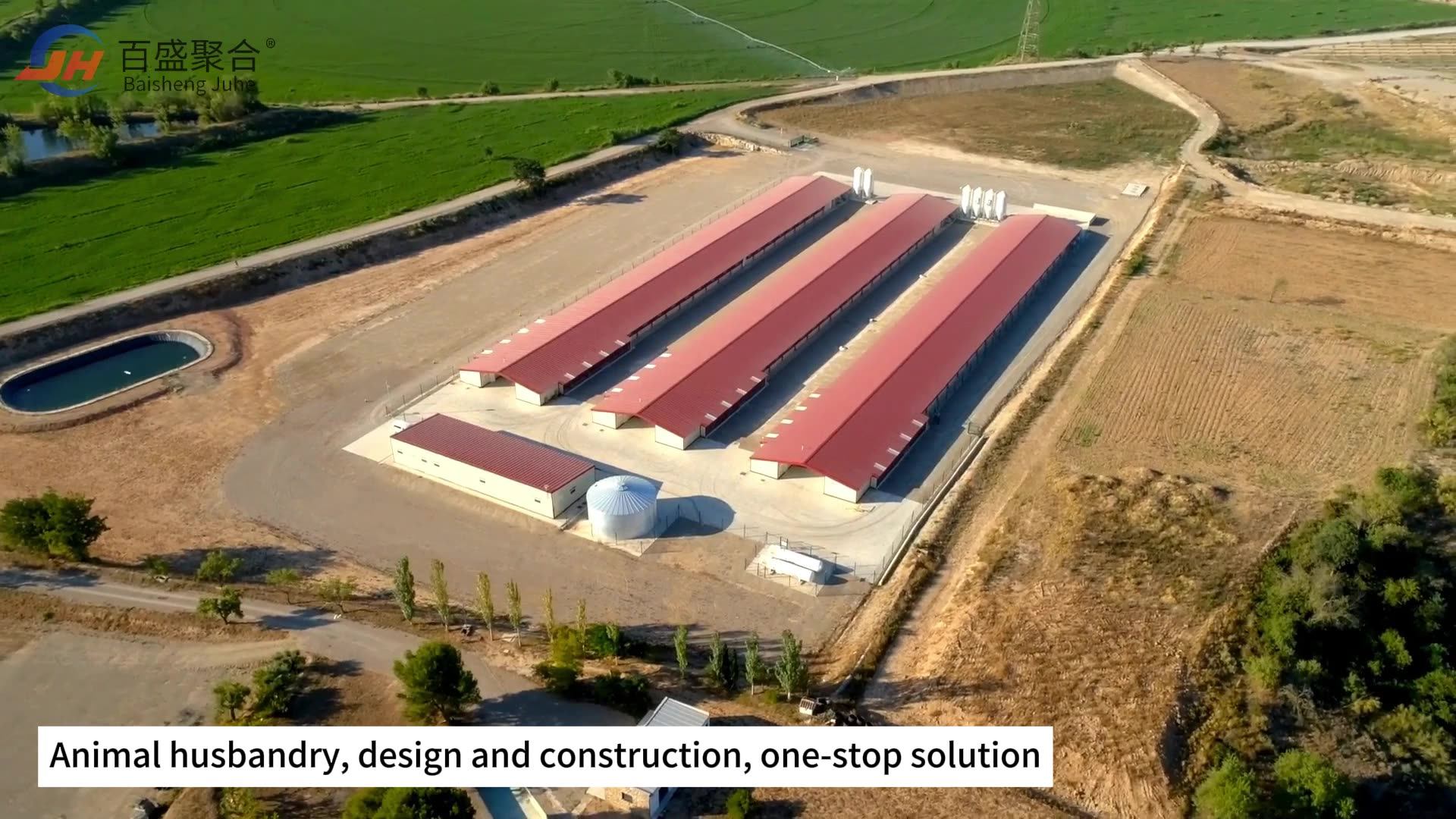 Steel Frame Pig Farm Structures Building Design Prefabricated Steel ...