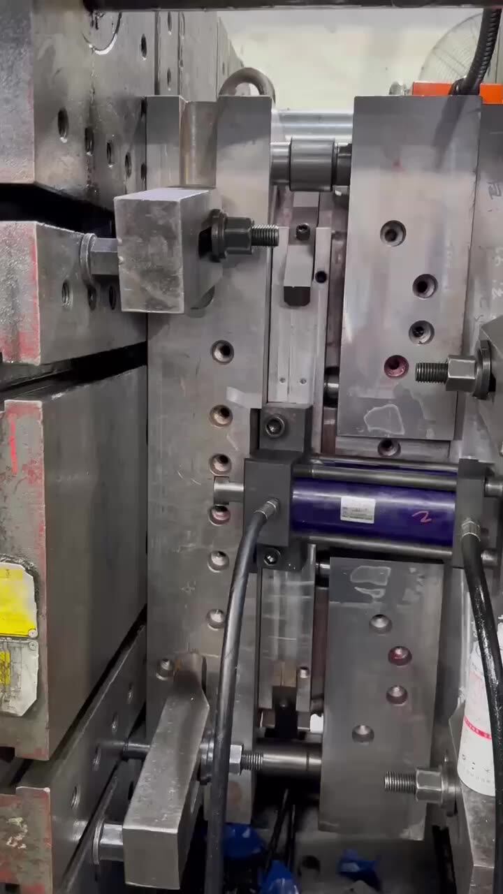 Black Soldier Fly Larvae Farming Insect breeding box BSF Insect Rearing ...