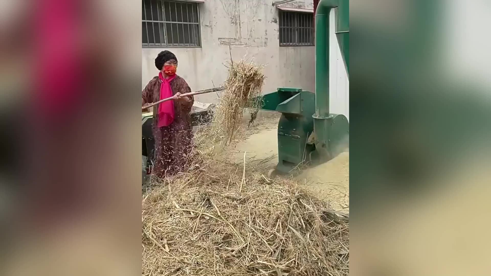 New Original Cyclone Grain Crusher Corn Maize Grinder Animal Fodder ...