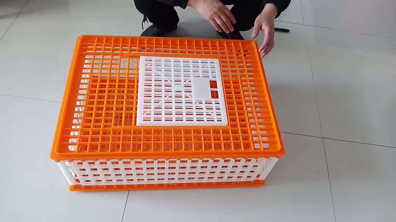 3 Doors Plastic Poultry Live Chicken Broiler Transport Cages Transport ...