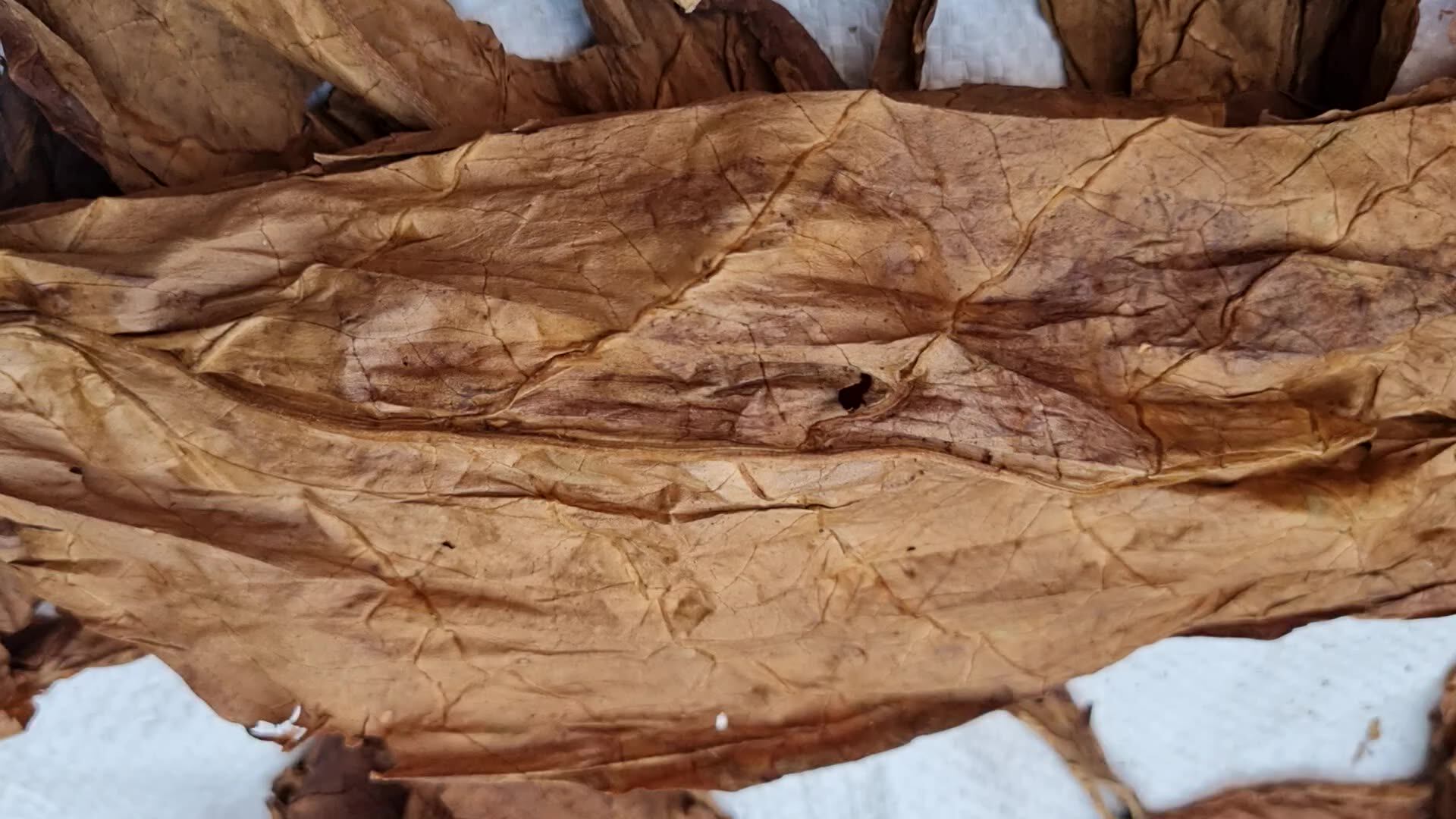 Natural Herbal Brown & Green Loose Rolling Leaf Perfectly Cut Leaves ...