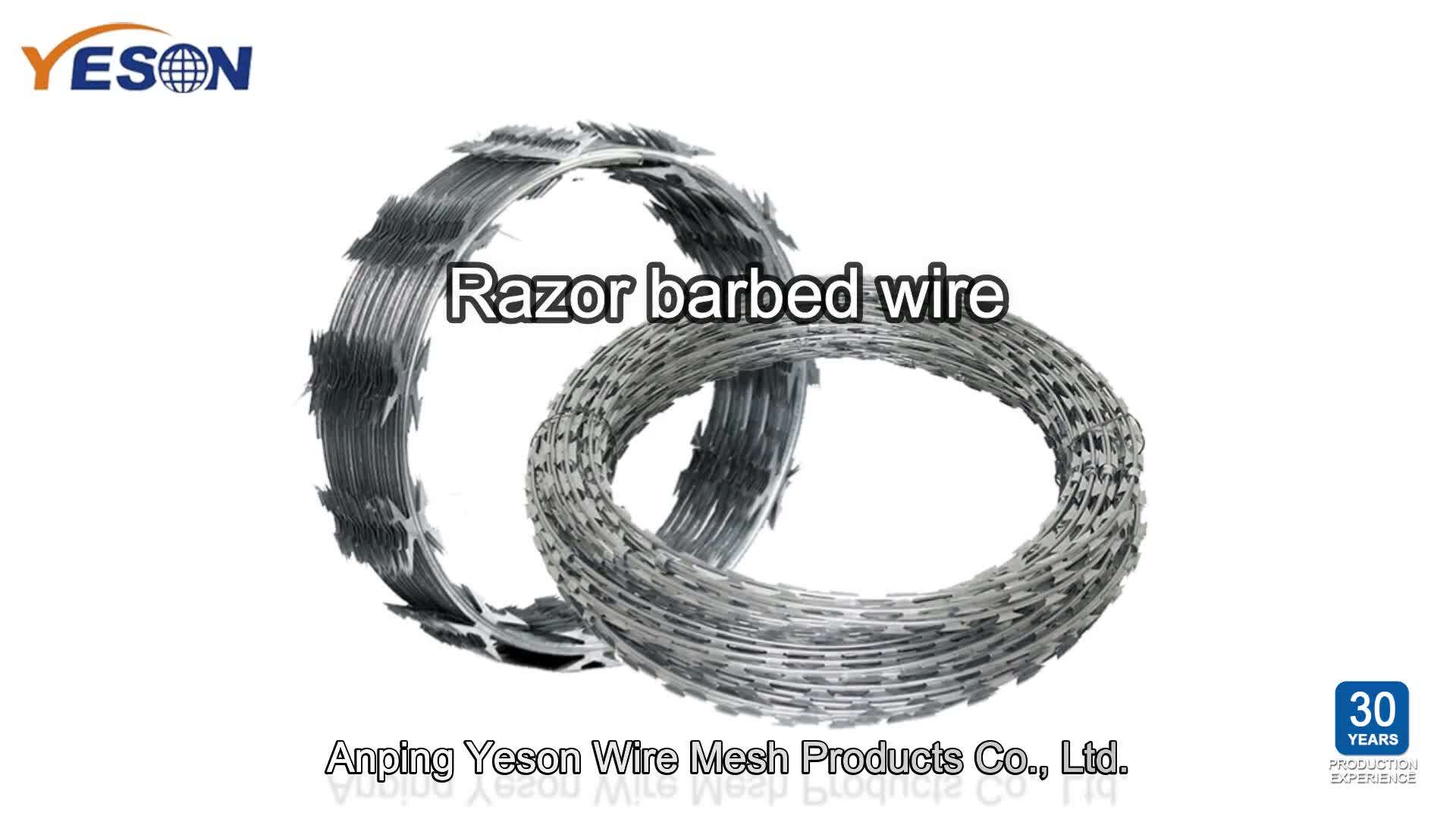 High Quality Double Loop Razor Wire Prison Fence Razor Barbed Wire ...
