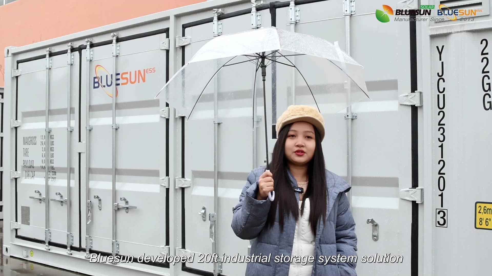 Bluesun 20ft 40ft Bess Commercial And Industrial 100kw 200kw 500kw ...