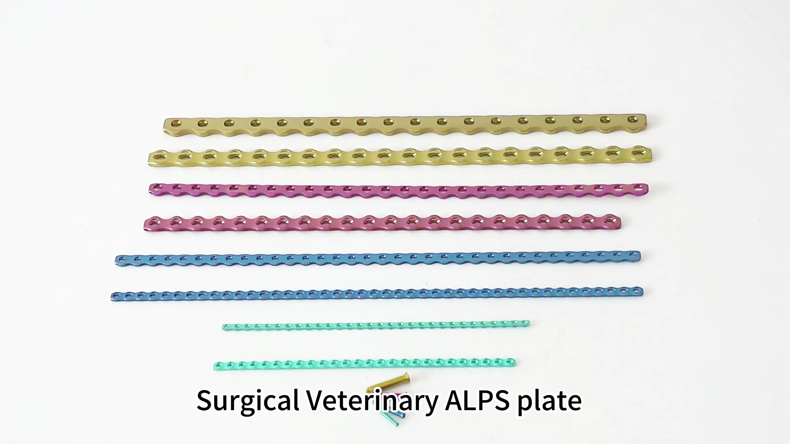 Orthopedic Veterinary Locking Plate Orthopedic Implants Titanium ...