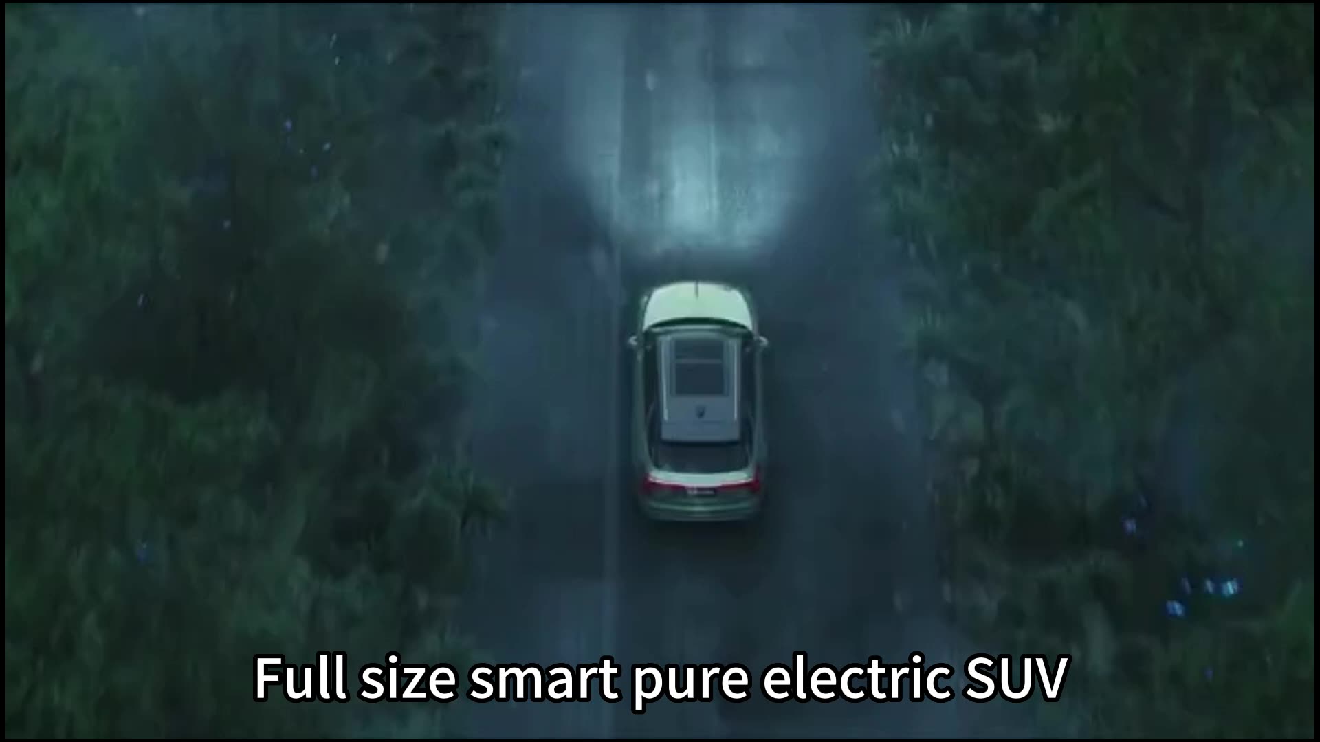 New Electric Vehicles Hongqi E-hs9 460km Qi Yue Version 7 Seats High Performance 4 Wheel Drive ...