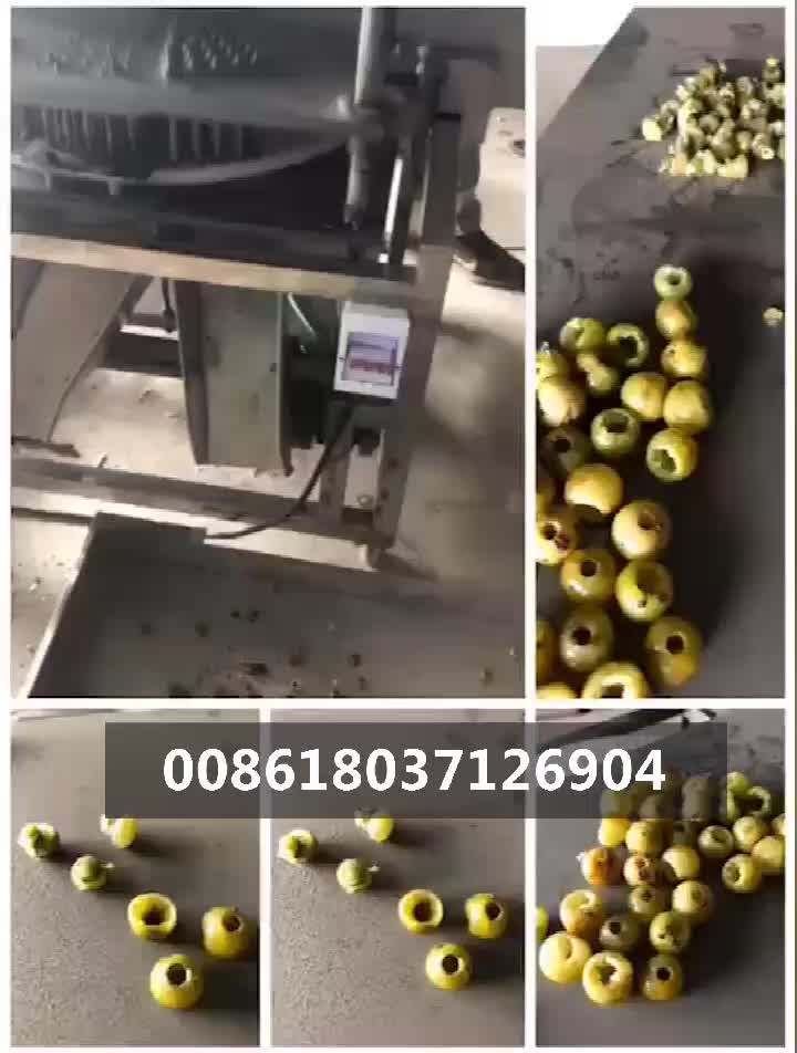 Plum Pitting Machine /cherry Pitter /electric Plum Destoner Machine ...