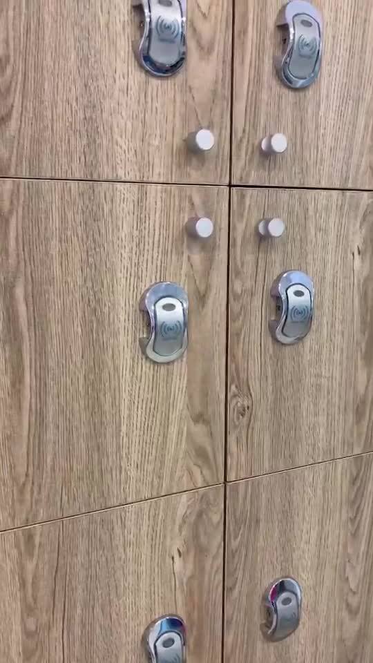 Electronic Smart Keyless Digital Spa Cabinet Sensor Locker Lock ...
