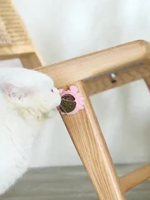 Tik Tok Top Ranking Pet Toy Kitten Cat Mint Toy,Funny Rotation Ball ...