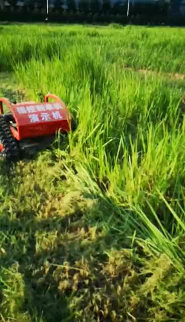 Rippa Garden Electric Remote Control Robot Lawn Mower With Snow Blower ...