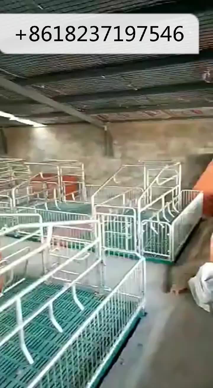 Pig Production Breeding Bed Farrowing Crate Pig Farrowing Bed Nursery ...