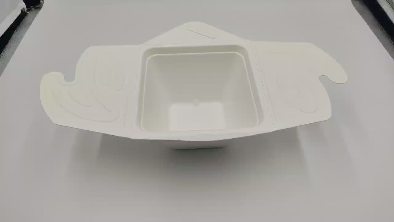 Custom Logo Restaurant To-go Carryout Disposable Plastic Lunch Box Mfpp ...