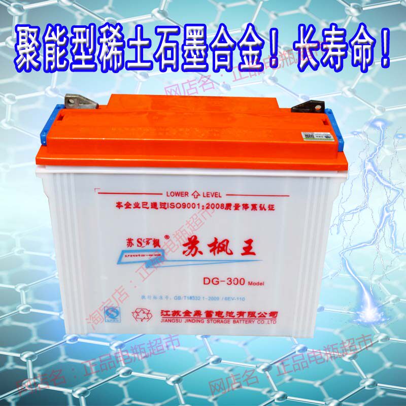 Sufeng DG - 300 battery king Wang Tonghuang battery 48 V60V72 electric ...