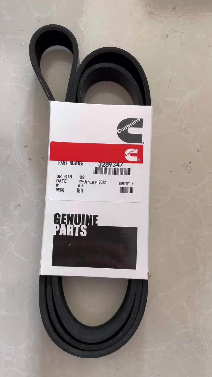 Cummins Engine 6ct Alternator Drive V Ribbed Belt 3289347 3939710 ...
