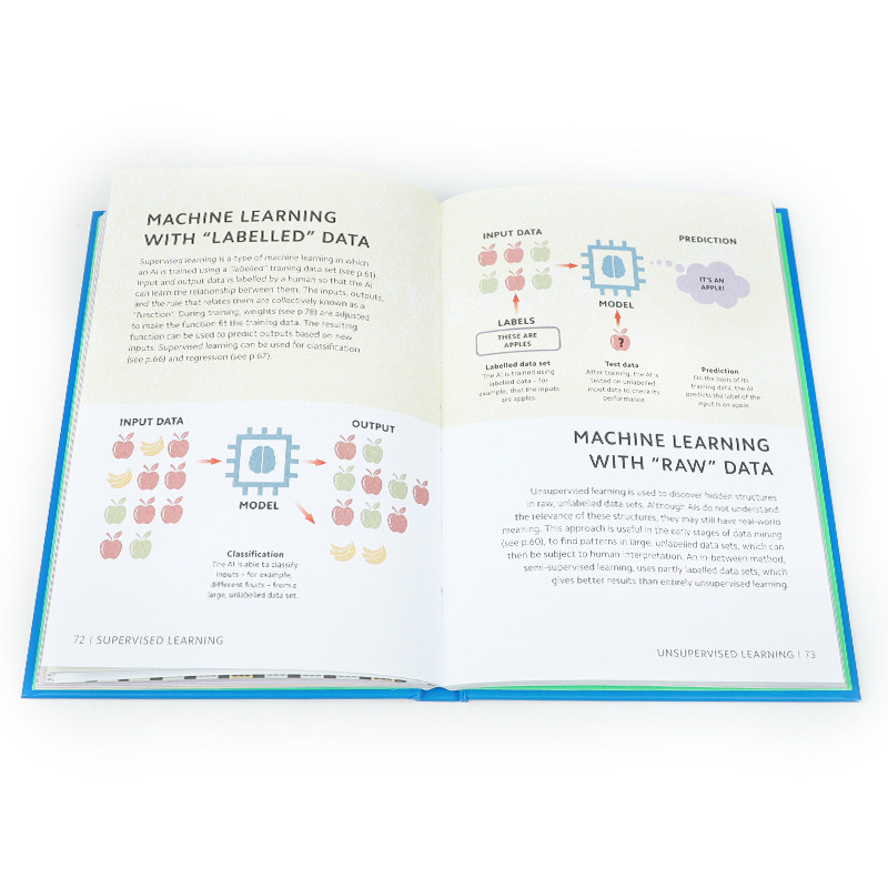 DK Simply系列：Simply AI Facts Made Fast，人工智能百科新宠？-科普读物/自然科学/技术类原版书-淘宝好物网